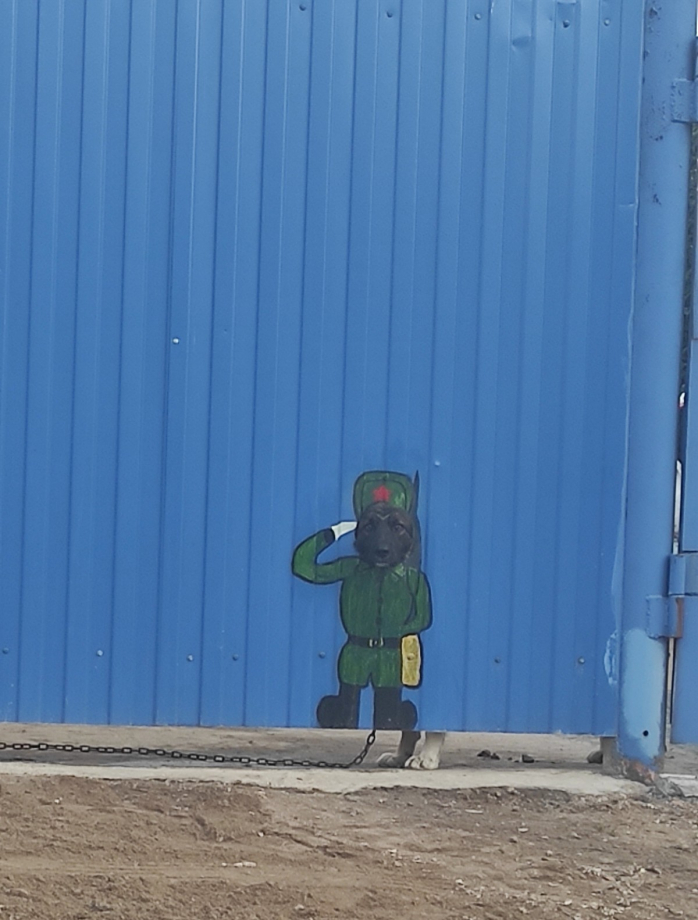 Немного хорошего настроения Вам на день | 40 фото